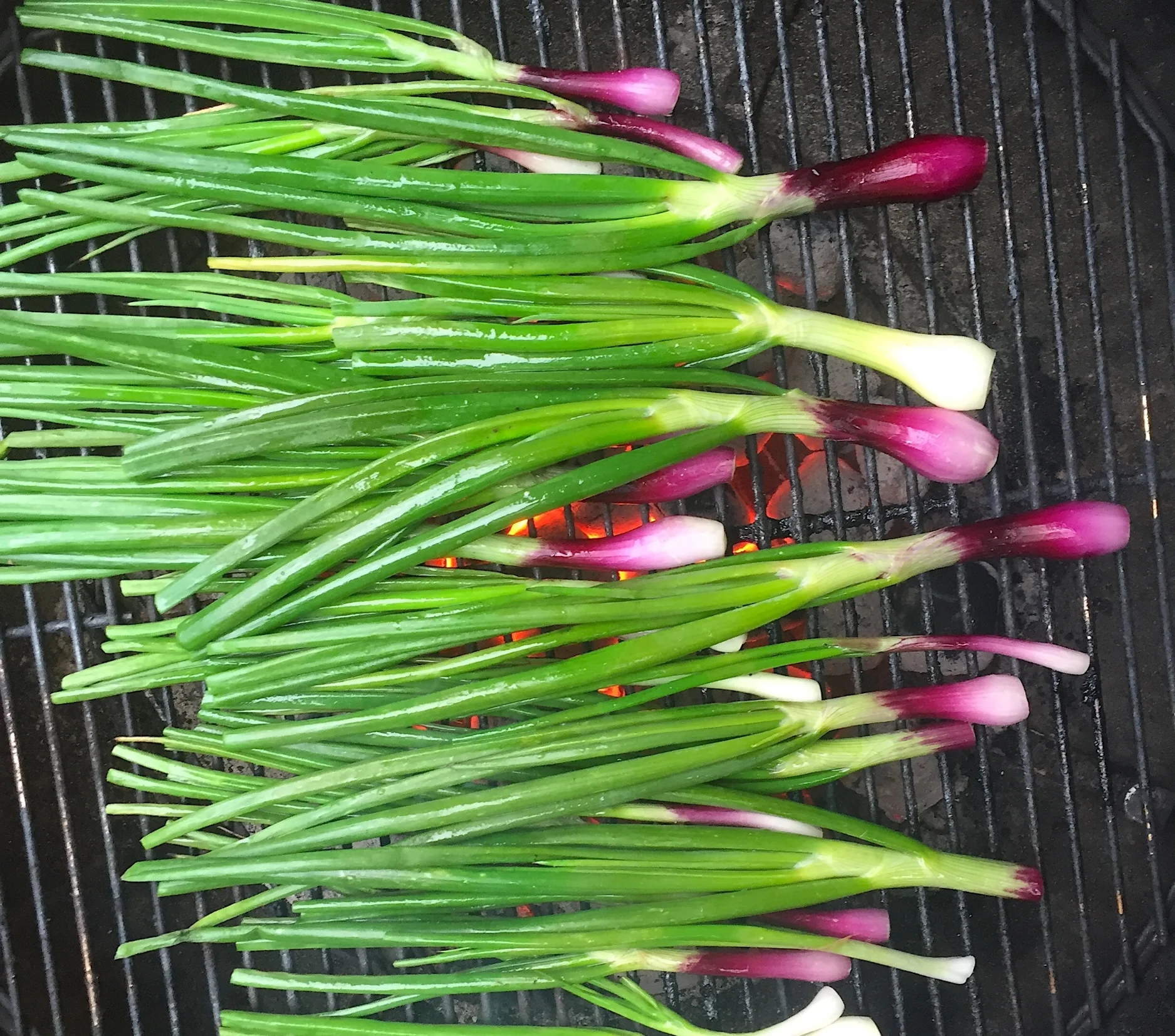 Dijon Beef Stew — ann taylor pittman