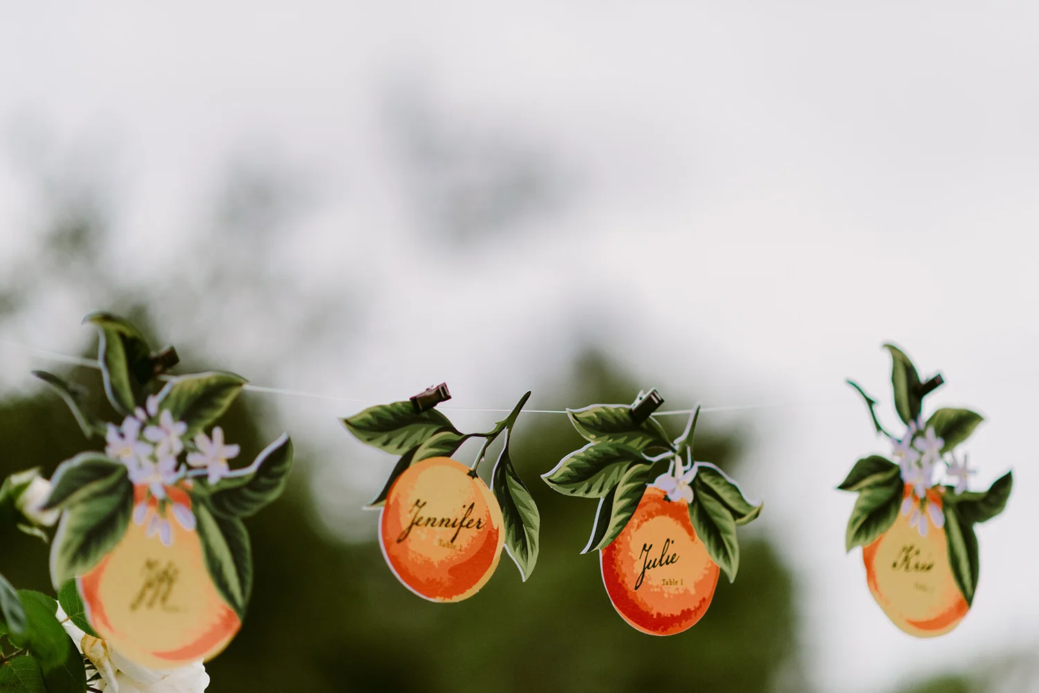 Gretchen Berry Design Co