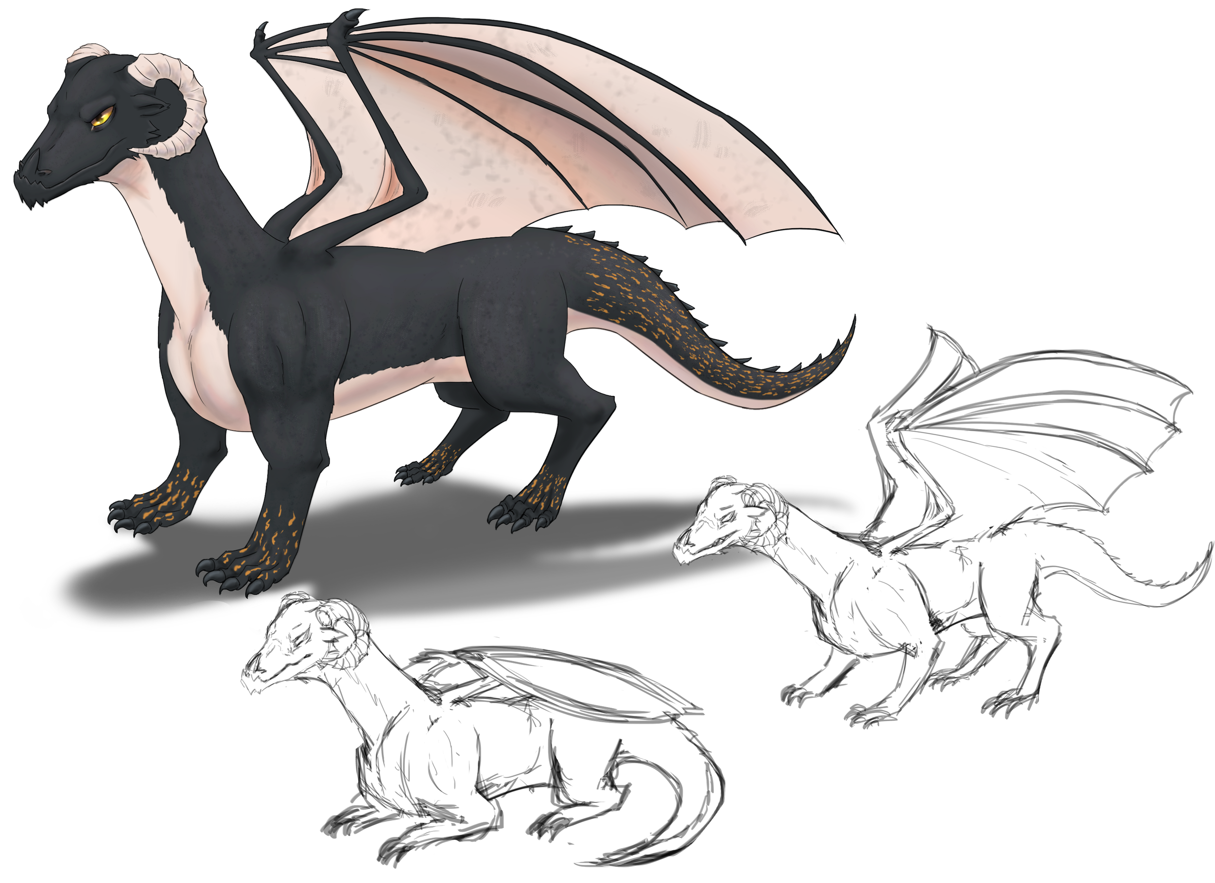 Elemental Dragons Artist Showcase — Jessica Turnbull