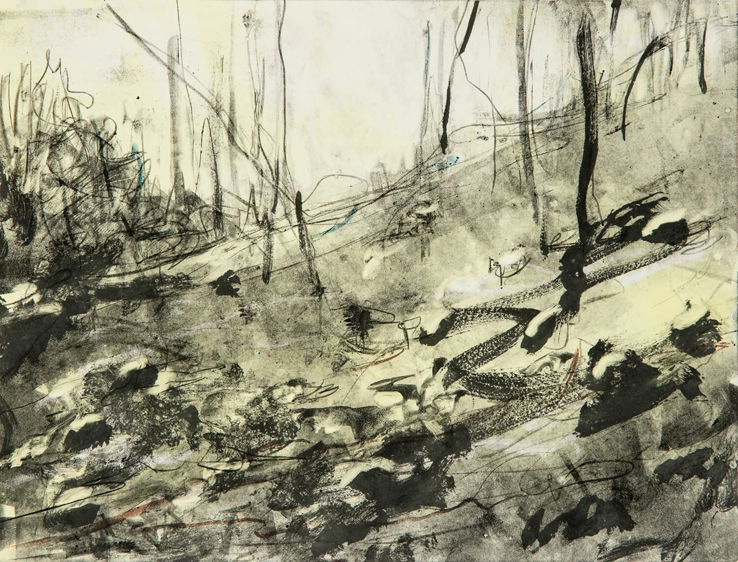 Portfolio — Robynn Smith