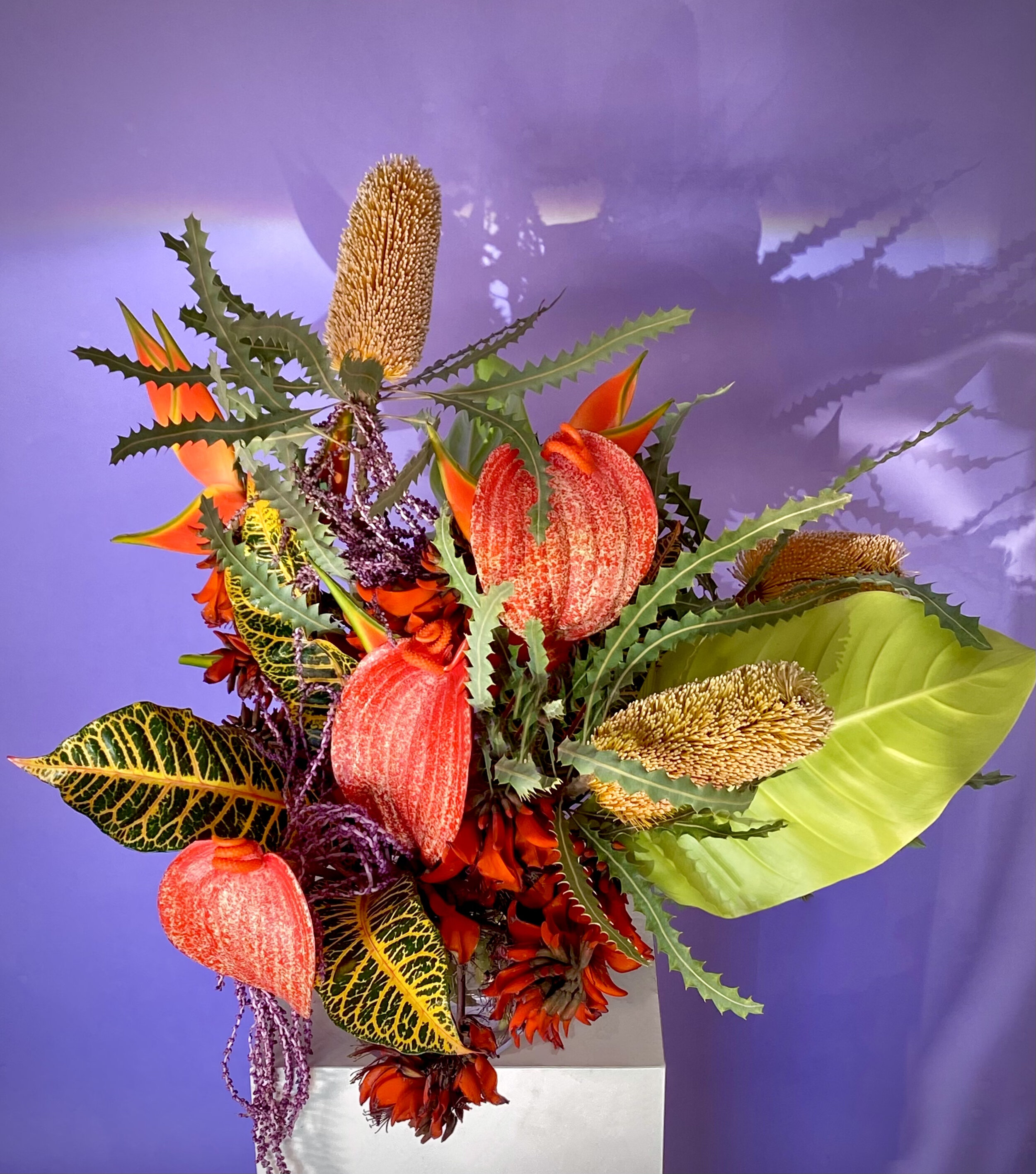 Pretend Plants & Flowers