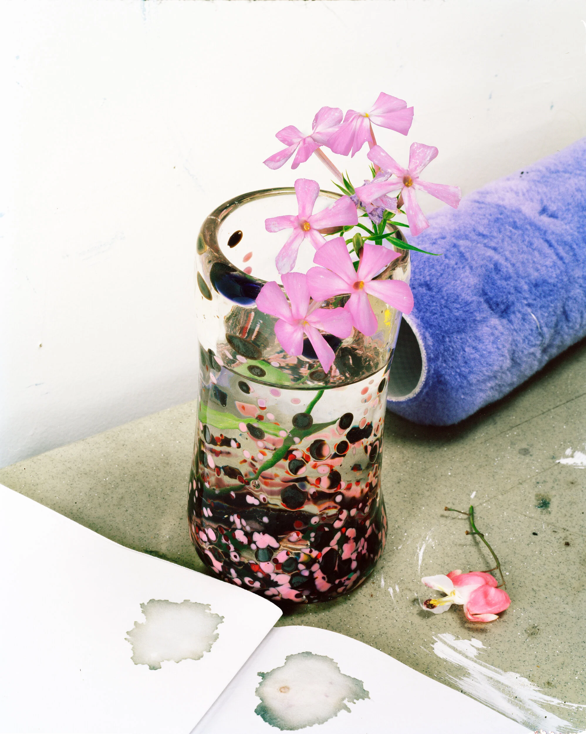 Almanac for Shade Gardeners — Jessica Labatte