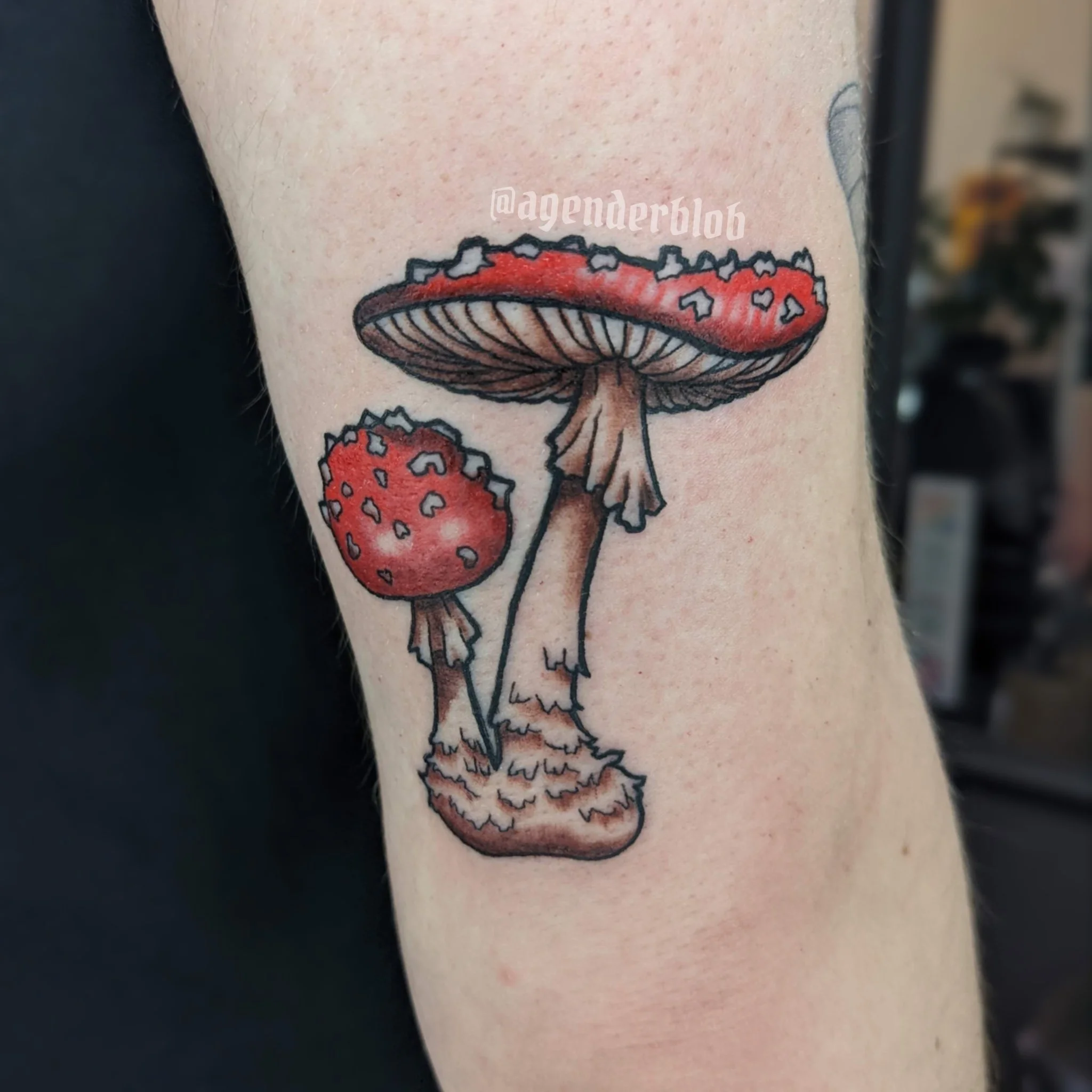 Vox Dombek — TRUE LOVE TATTOO