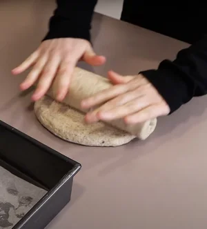 Easy Whole Wheat Bread