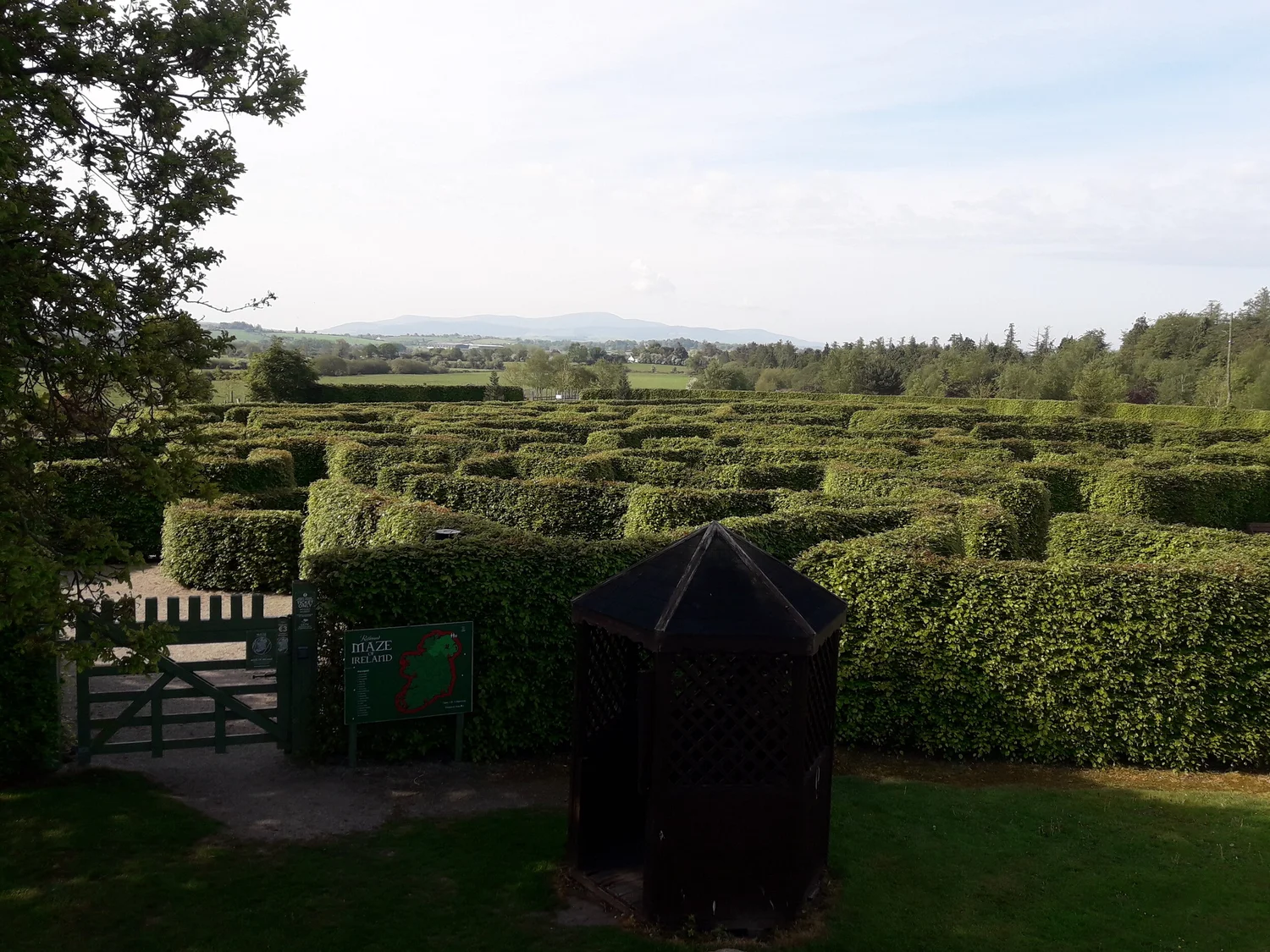 Hedging Ireland