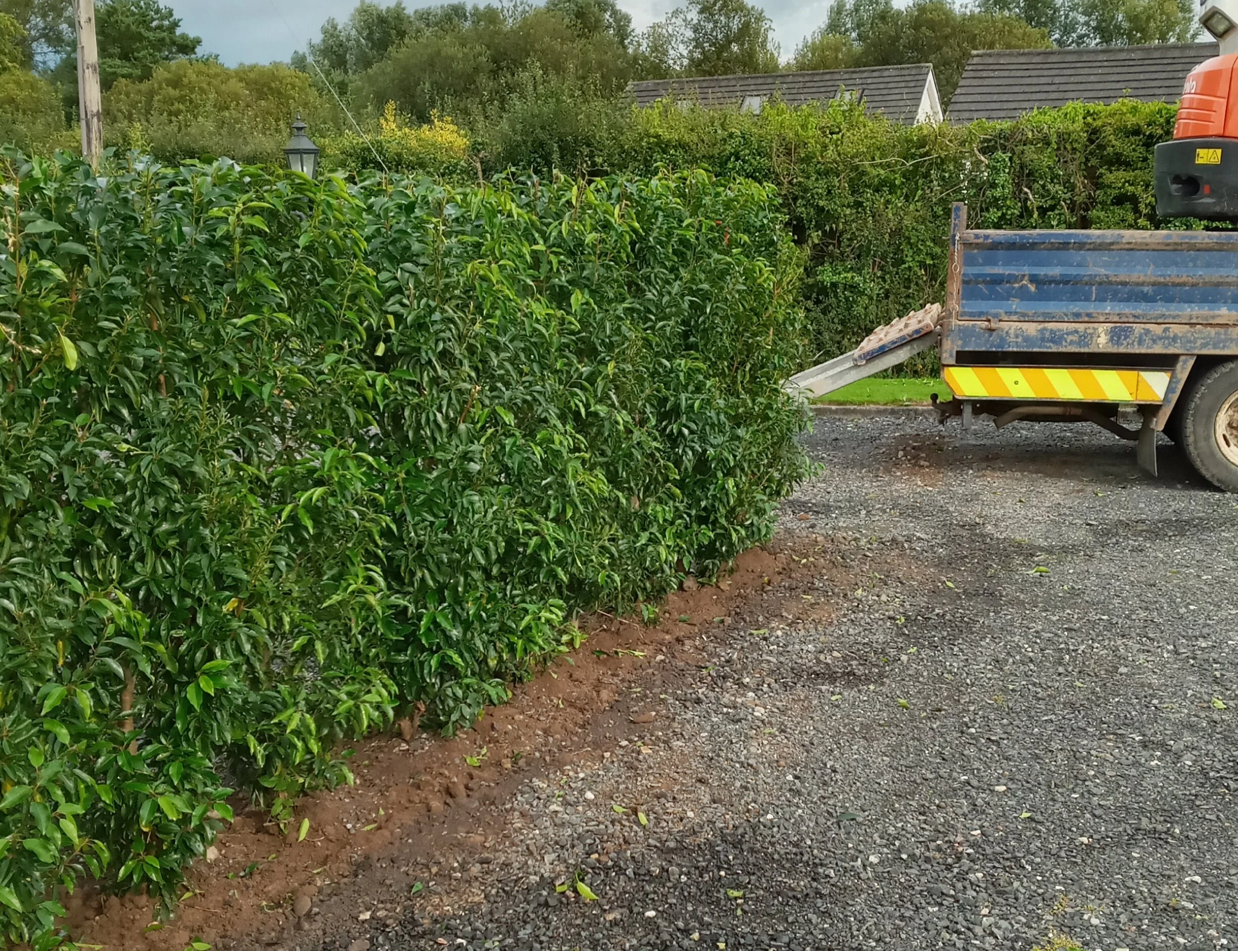 Gallery — Hedging Ireland