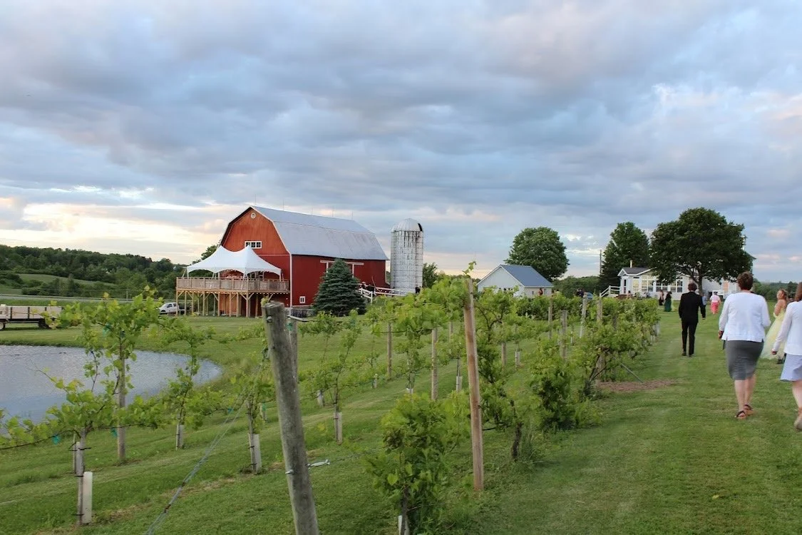 Gallery — Tanner Creek Farm