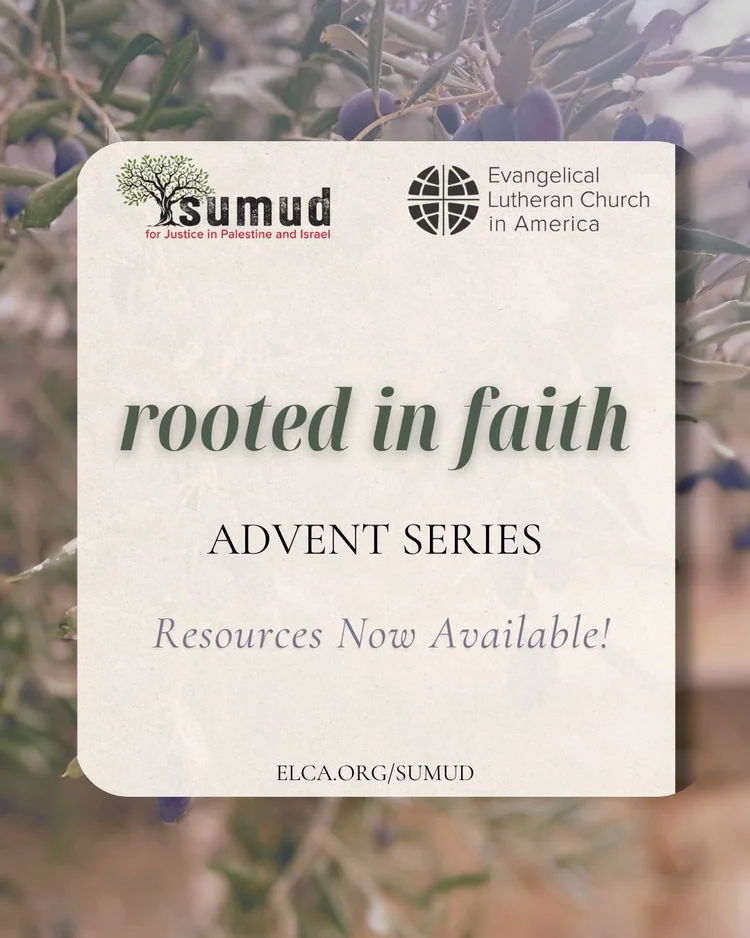 Advent with Sumud: New ELCA Resources Available — Grand Canyon Synod of the ELCA