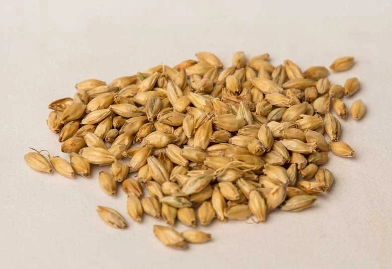 Maltwerks Products | Ingredients for Craft Brewers | Maltwerks