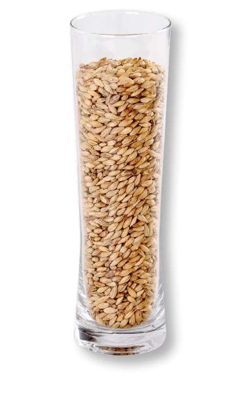 IREKS Malt | Maltwerks