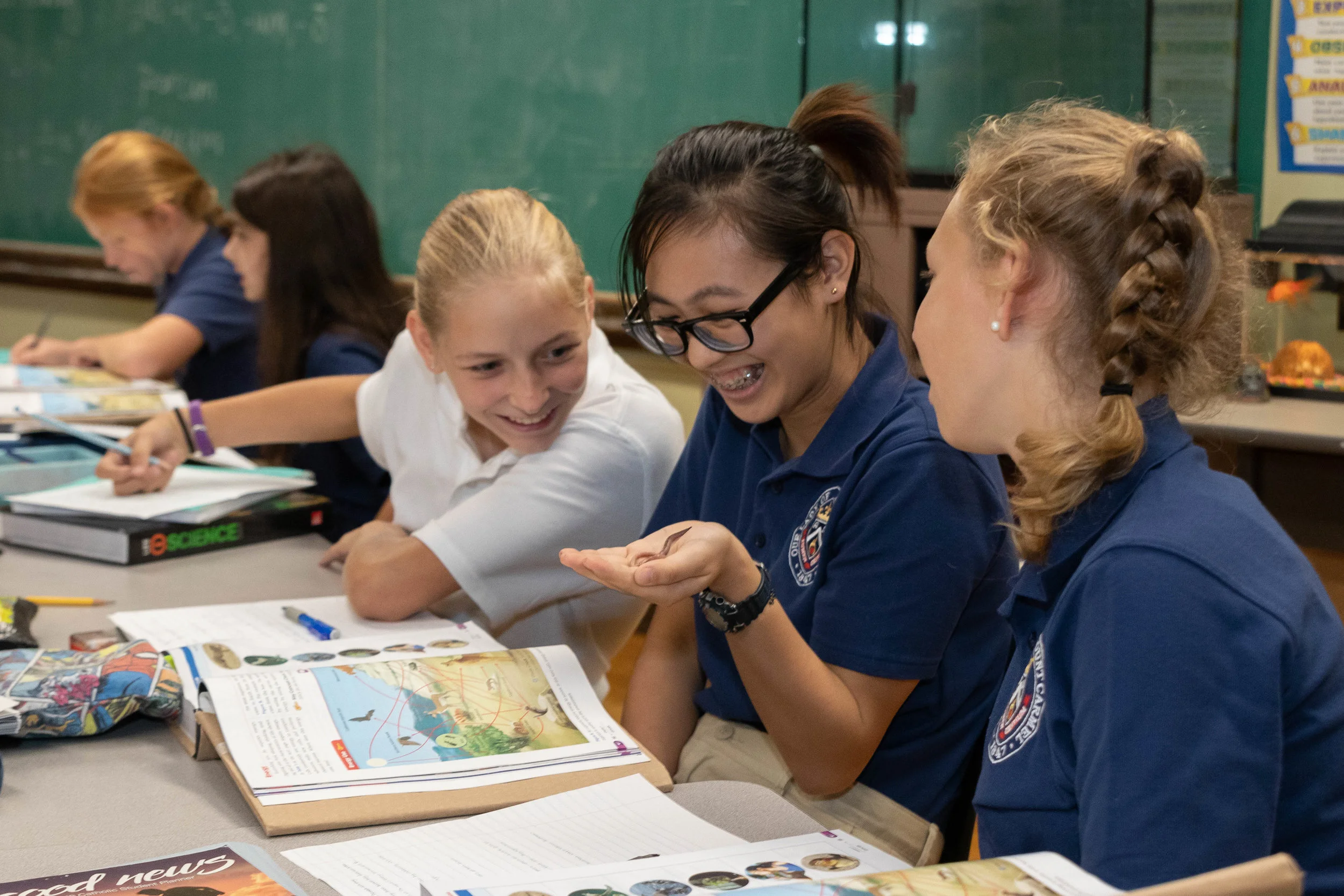 Our Lady of Mount Carmel School