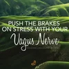 Push The Brakes On Stress With The VAGUS NERVE — Washington Wellness Center