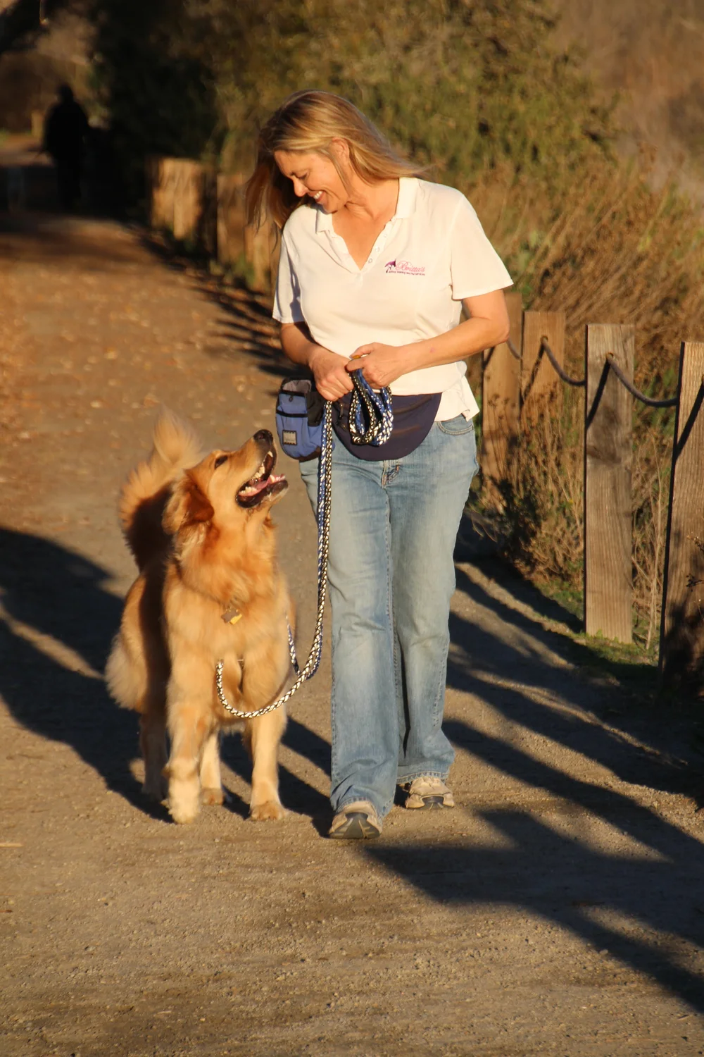 Britta's Animal Training