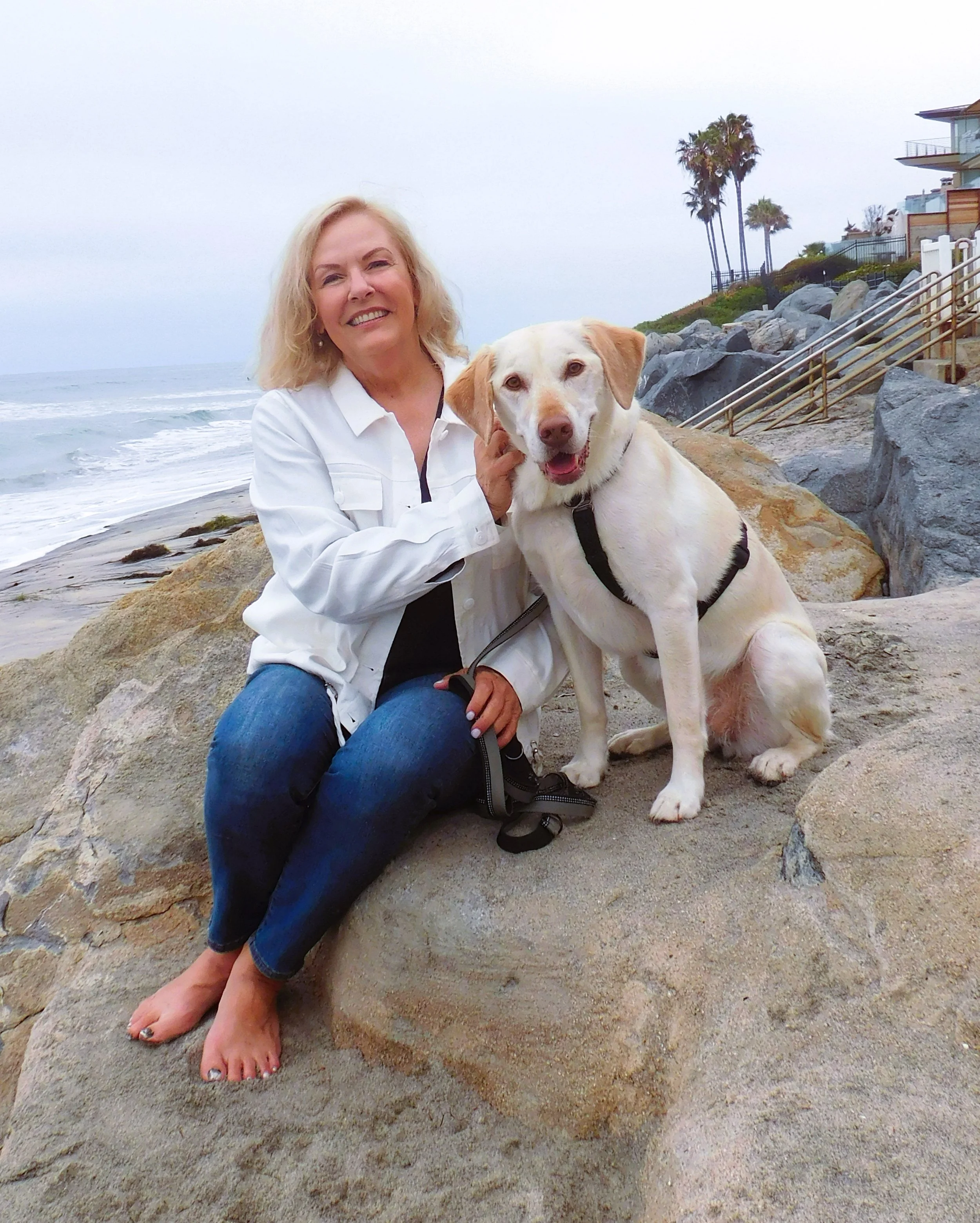 Britta's Animal Training