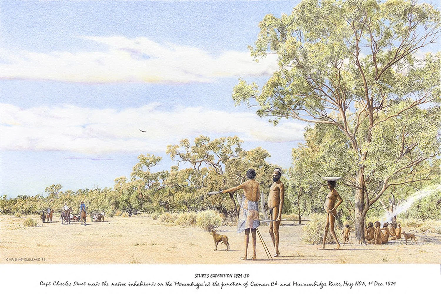 Chris McClelland's drawing of Sturt's Expedition 1829-30 on the ...