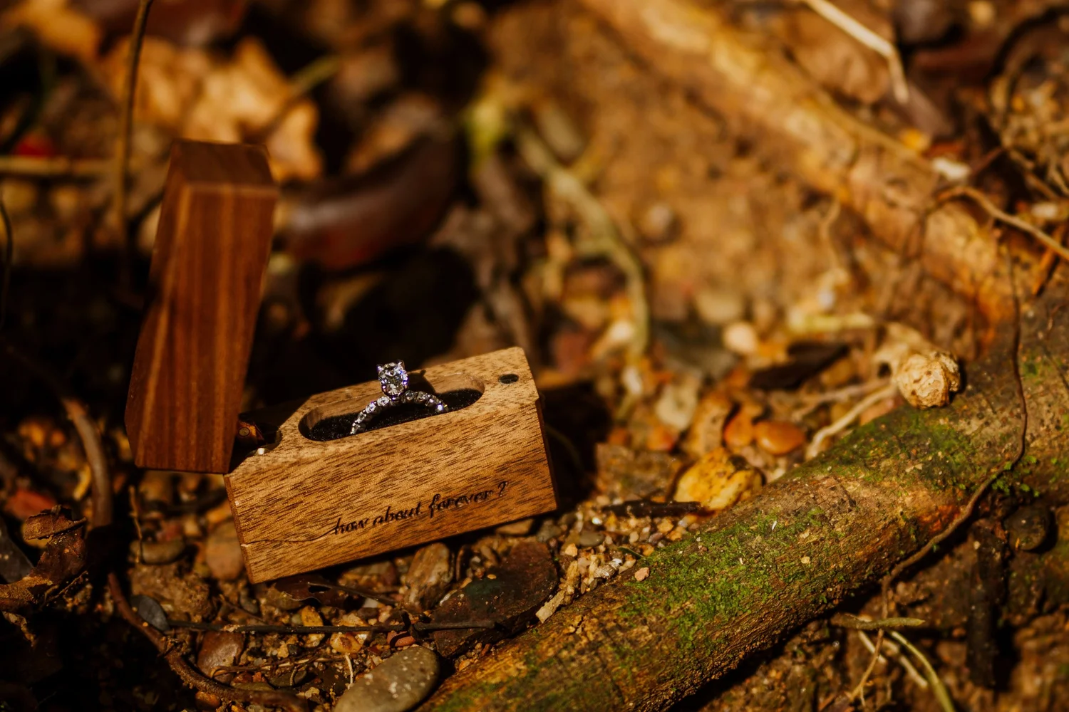 Belize Best Lifestyle and Wedding Photographer