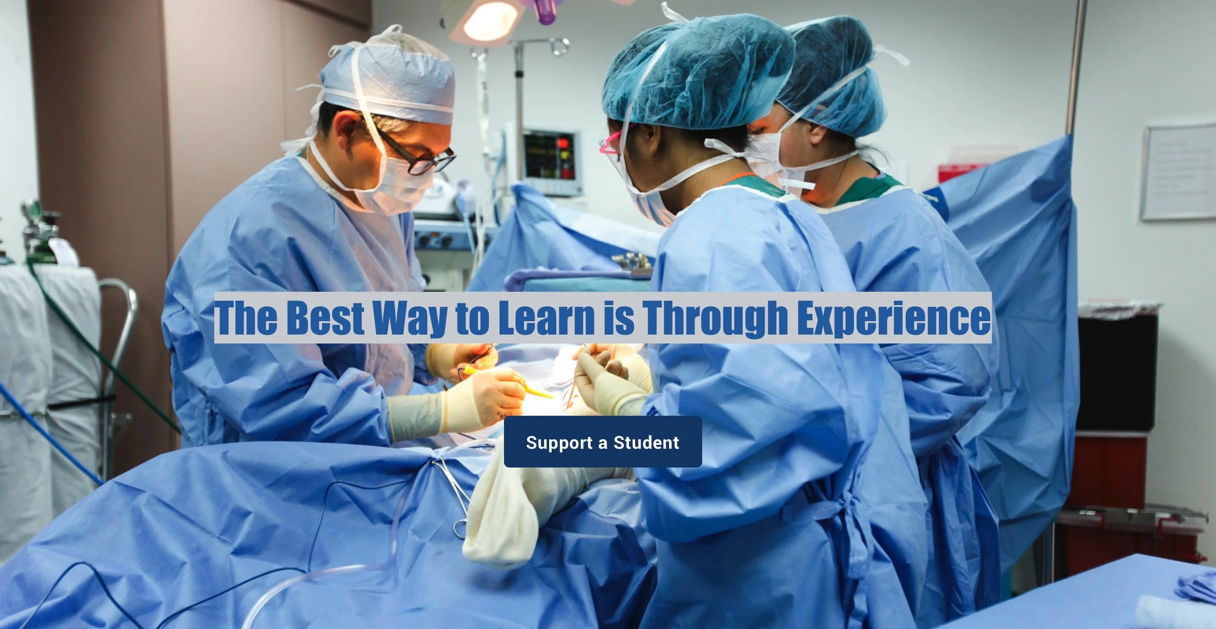 Become a Sponsor — ALAPIO