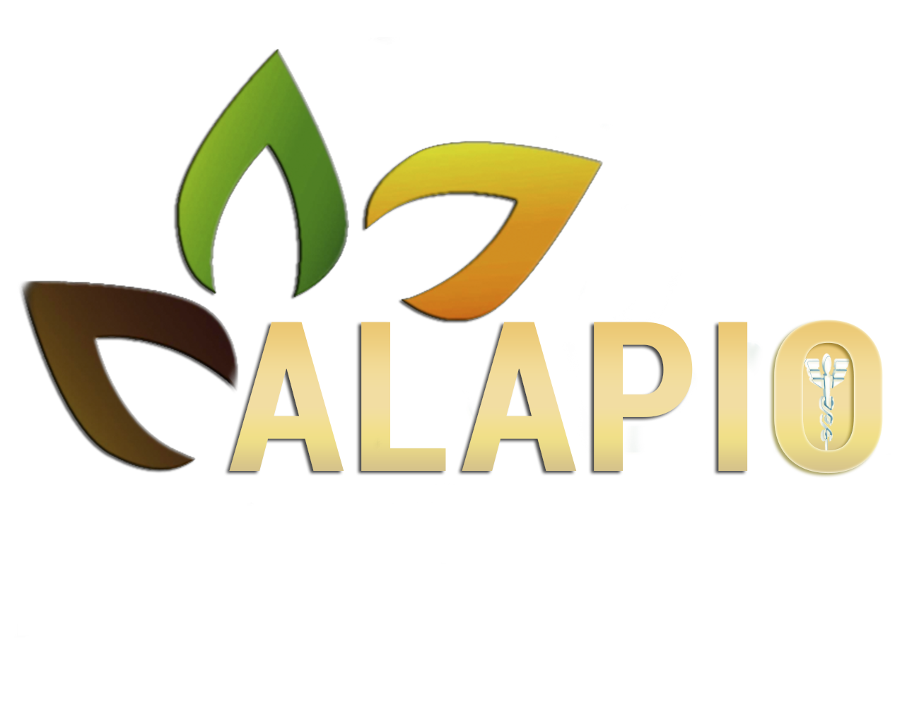 Blog ALAPIO blog-alapio