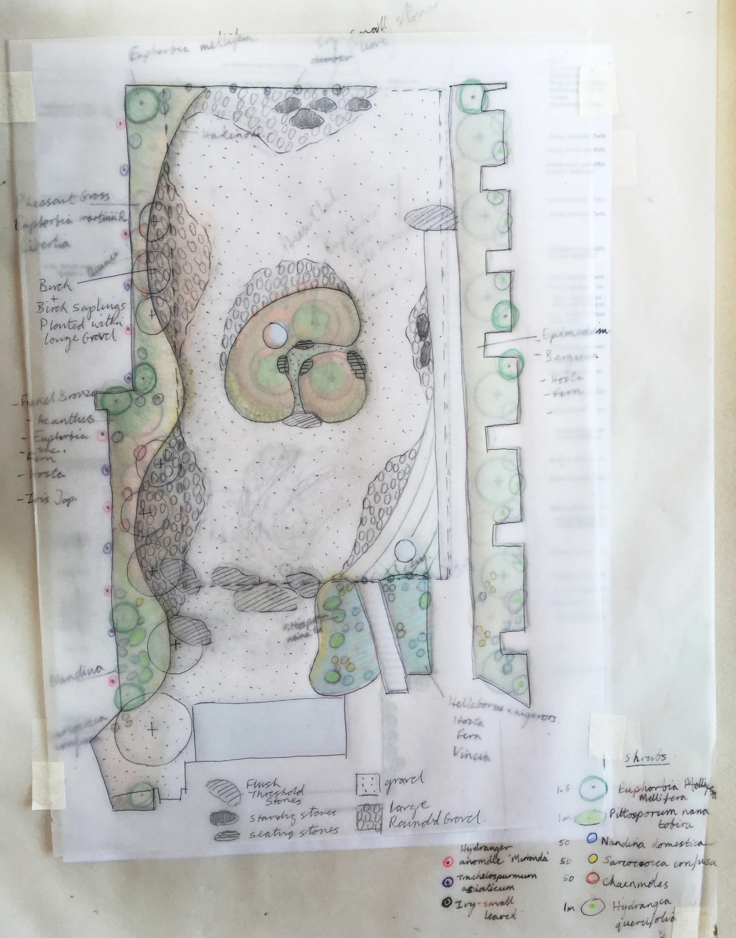 Maggie's Centre | UK | 2017 - CURRENT — Meeuwsen Muldoon