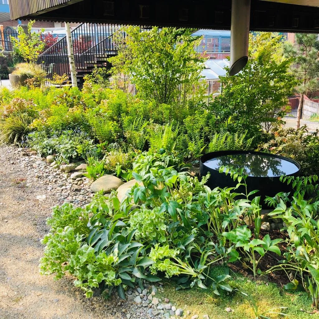 Maggie's Centre | UK | 2017 - CURRENT — Meeuwsen Muldoon