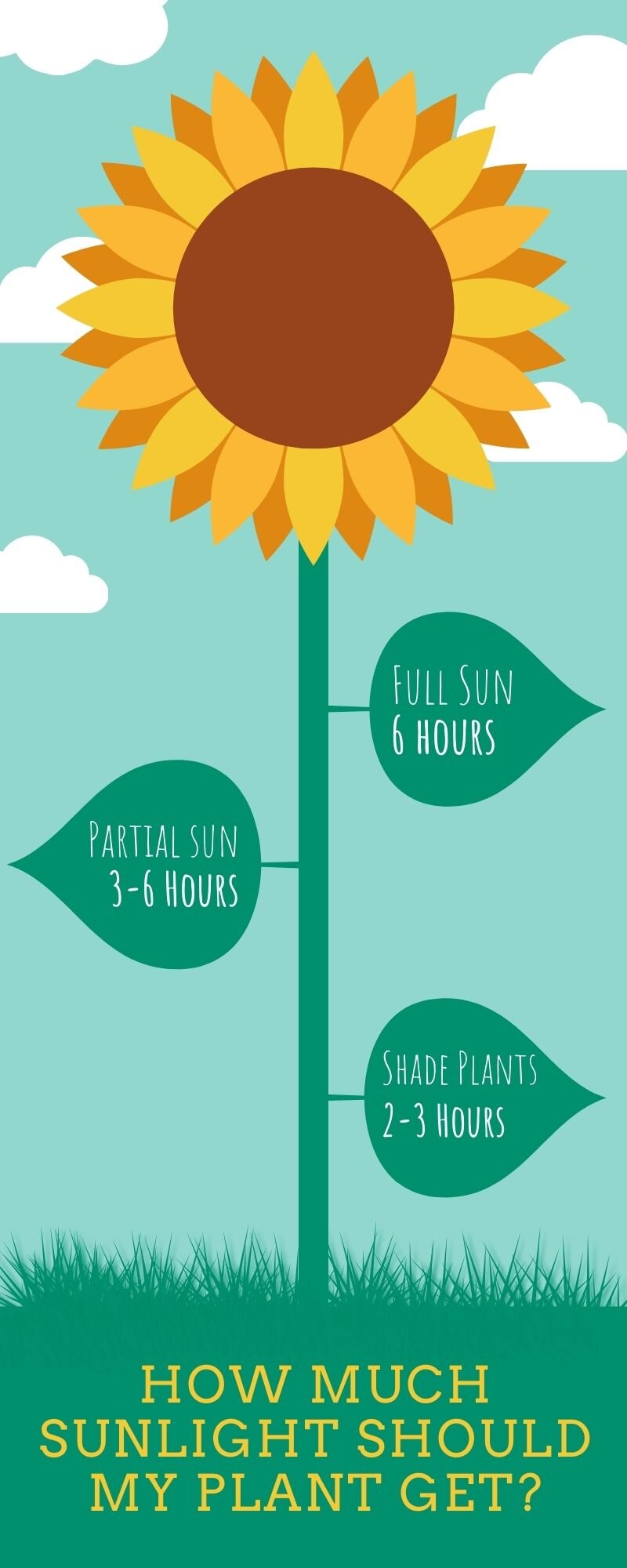 7 Things You Need to Know to Grow Bigger, Better Plants — Saluda Hill ...