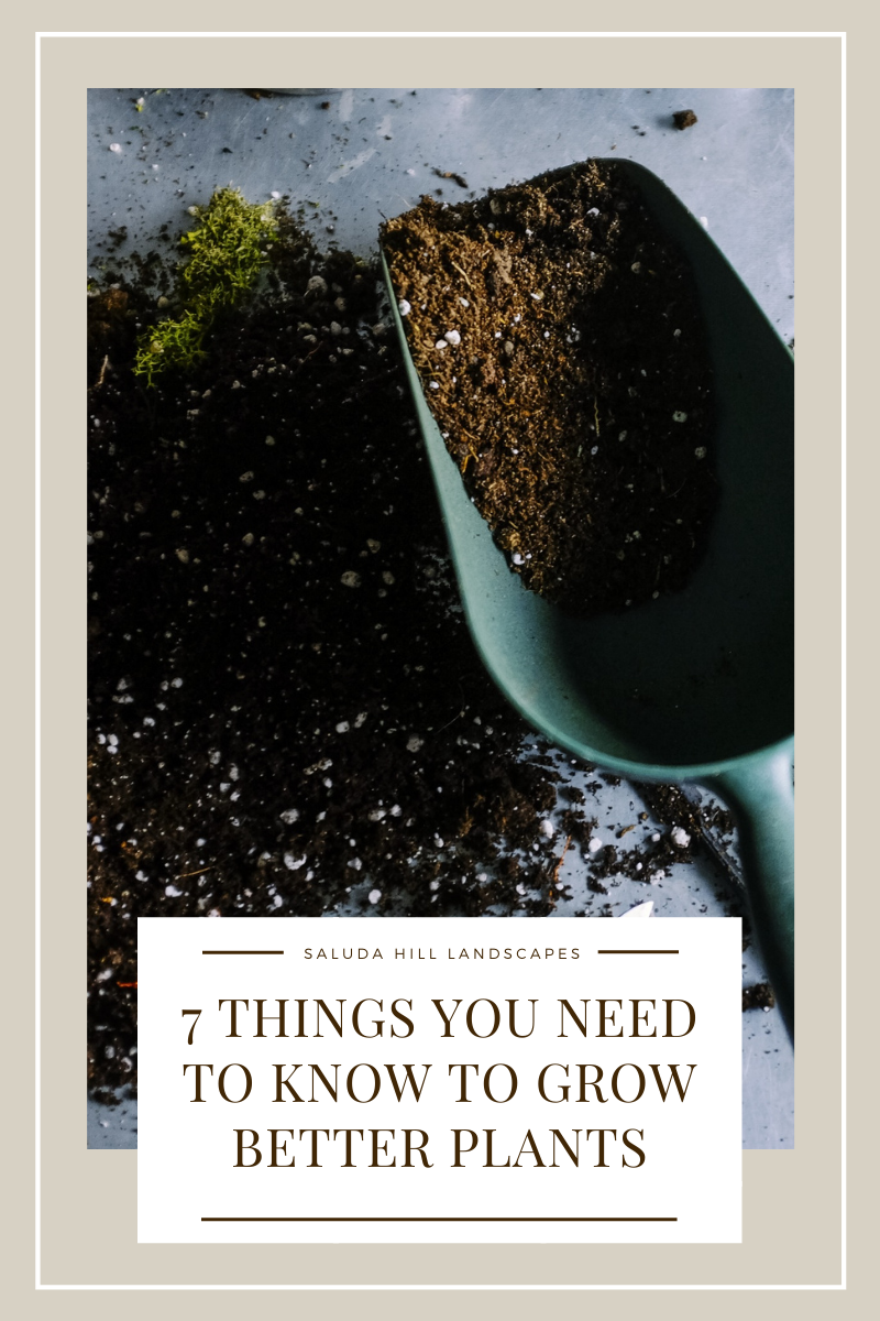 7 Things You Need to Know to Grow Bigger, Better Plants — Saluda Hill ...