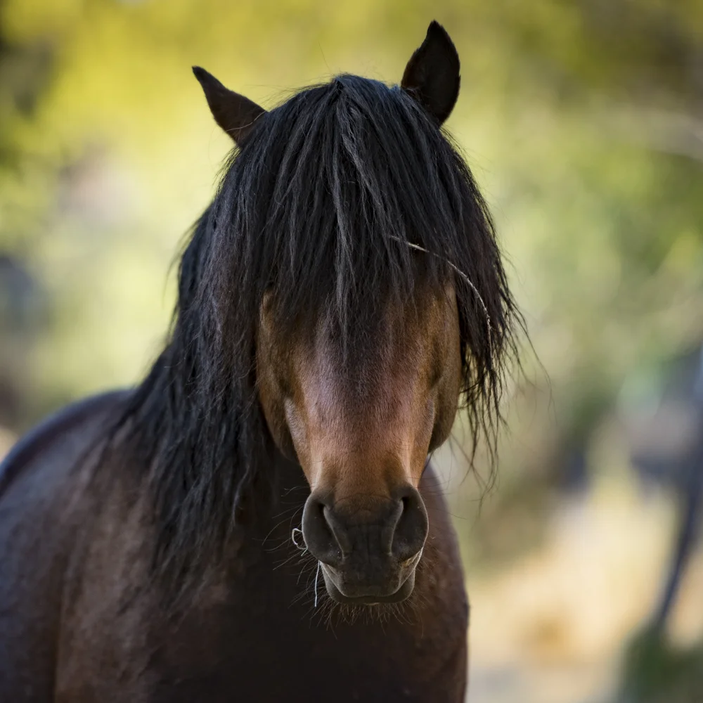 Sandy Sharkey Photography