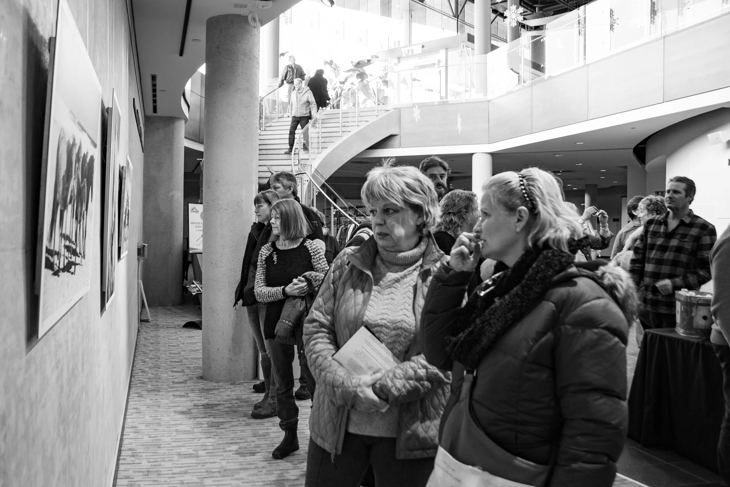 Sandy Sharkey Photography