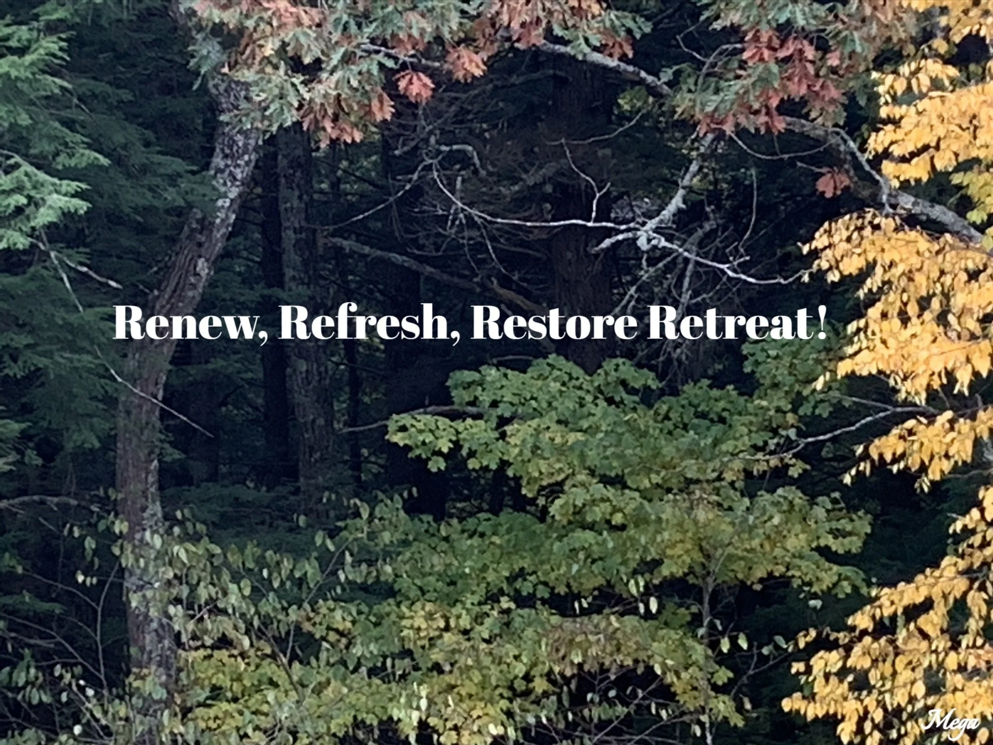 Renew Refresh Restore Retreat — The Grenchus Foundation