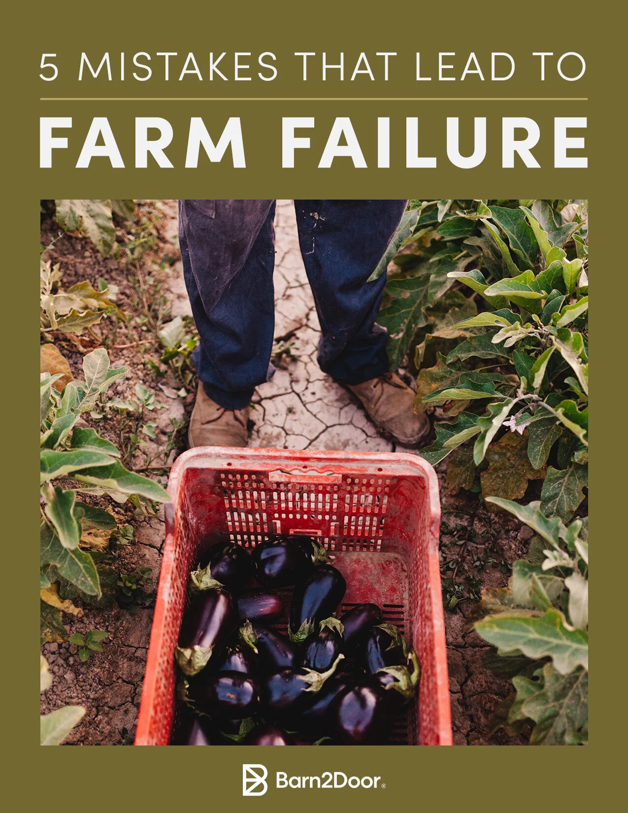 5 Mistakes that Lead to Farm Failure — BARN2DOOR