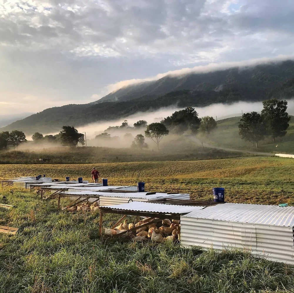 Farmer Spotlight: Old Rich Valley Farm — BARN2DOOR