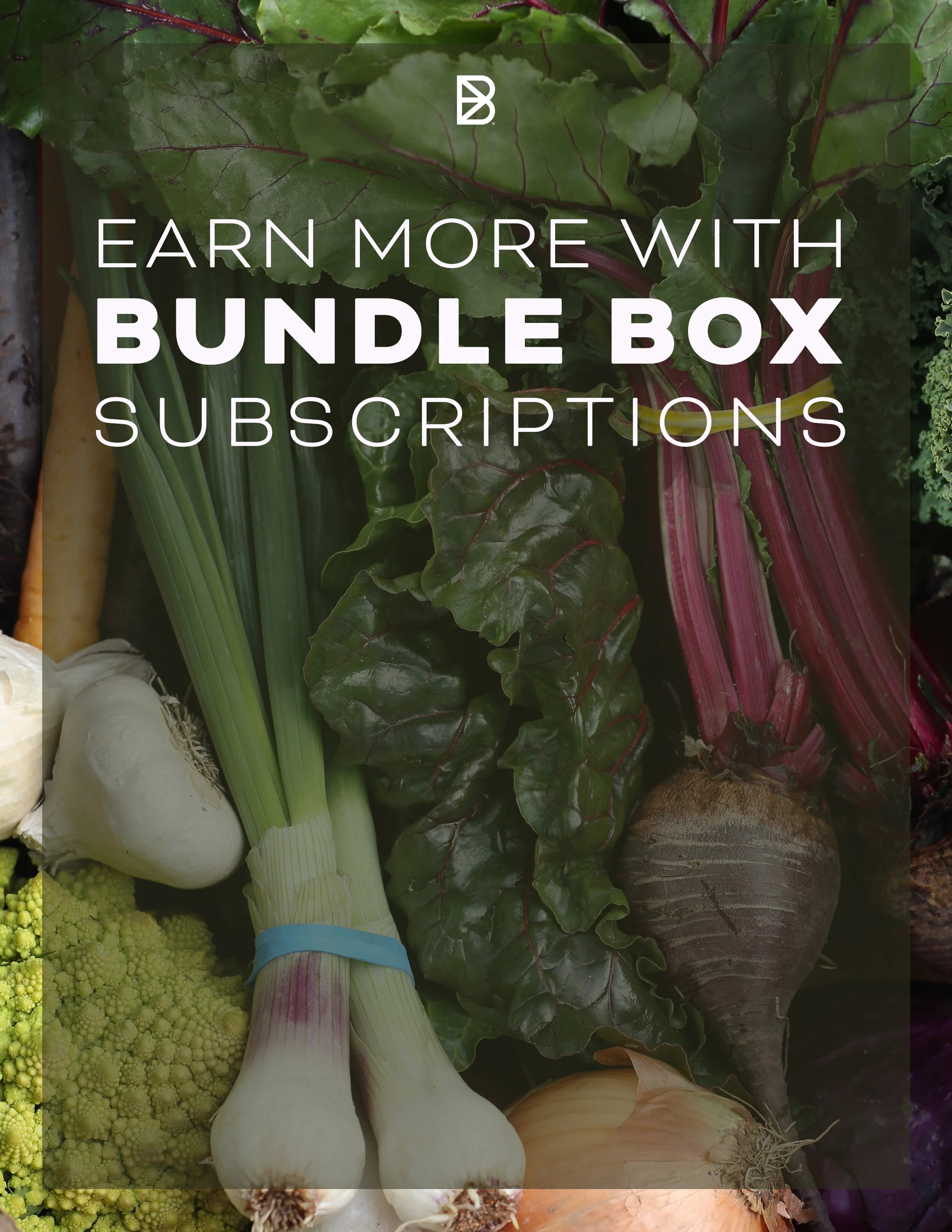 Earn More with Bundle Box Subscriptions — BARN2DOOR
