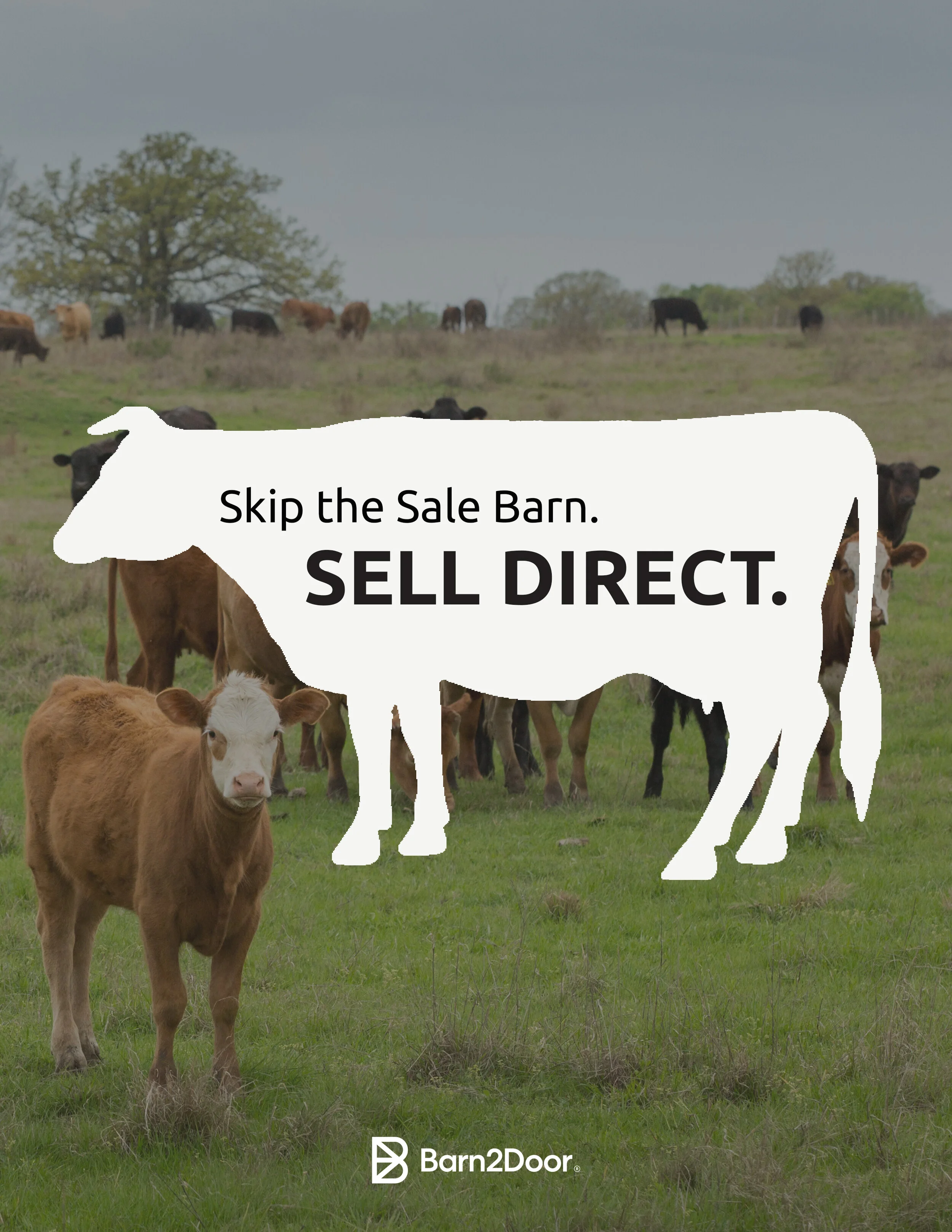 Skip the Sale Barn. Sell Direct — BARN2DOOR