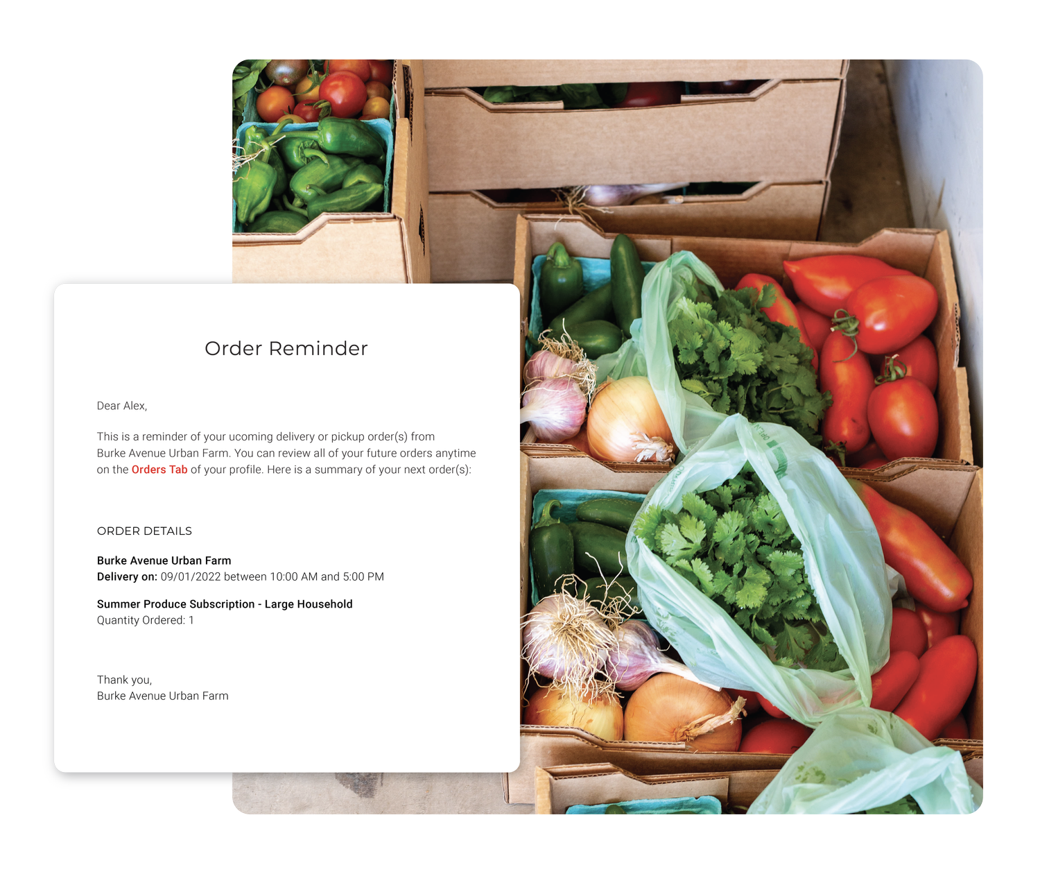Email Marketing | Boost Farm Sales Now — BARN2DOOR