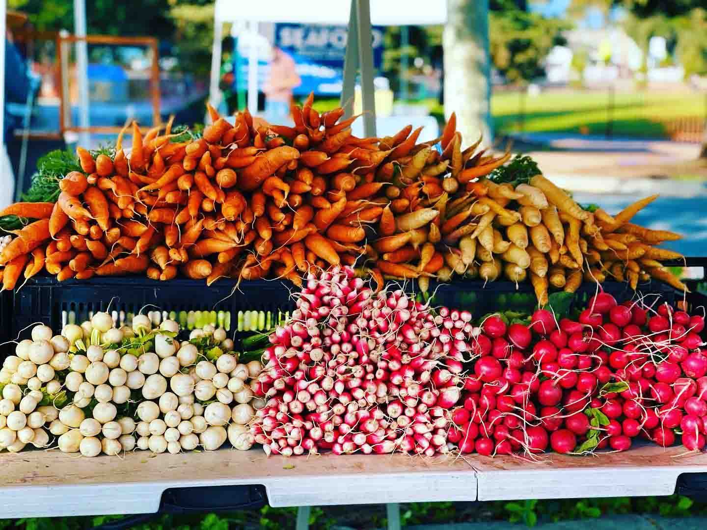 Barn2Door Pays for Itself — BARN2DOOR