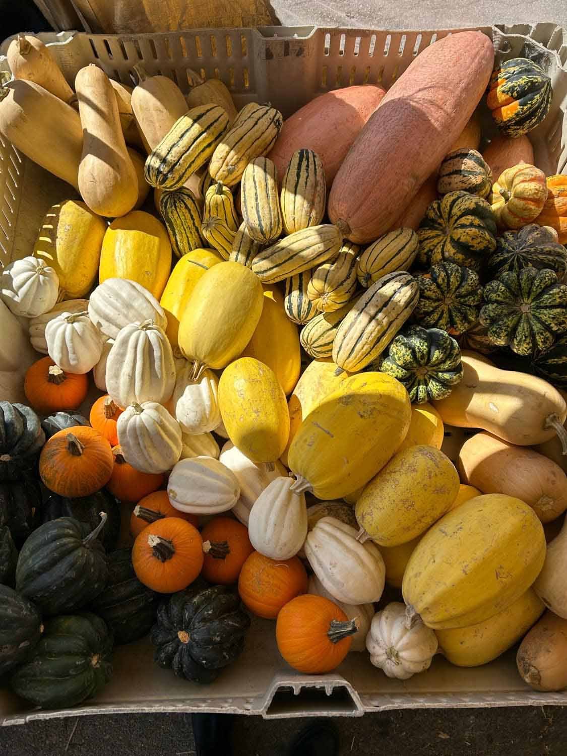 Checklist for your Farm’s Go-to-Market Strategy — BARN2DOOR