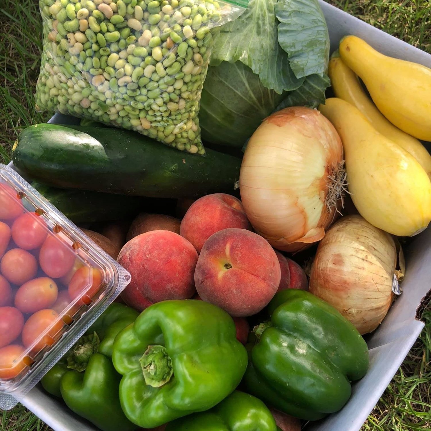 Farmer Spotlight: Hopkins Farms — BARN2DOOR