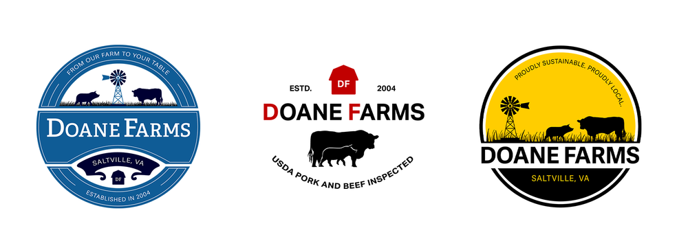 Overview of the Barn2Door Logo Design Process — BARN2DOOR