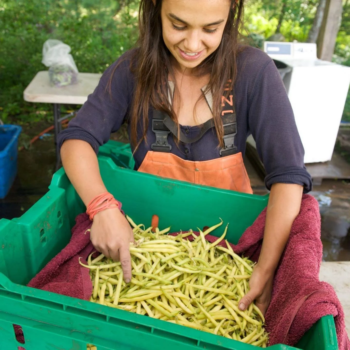 Farmer Spotlight: Little River Farm — BARN2DOOR