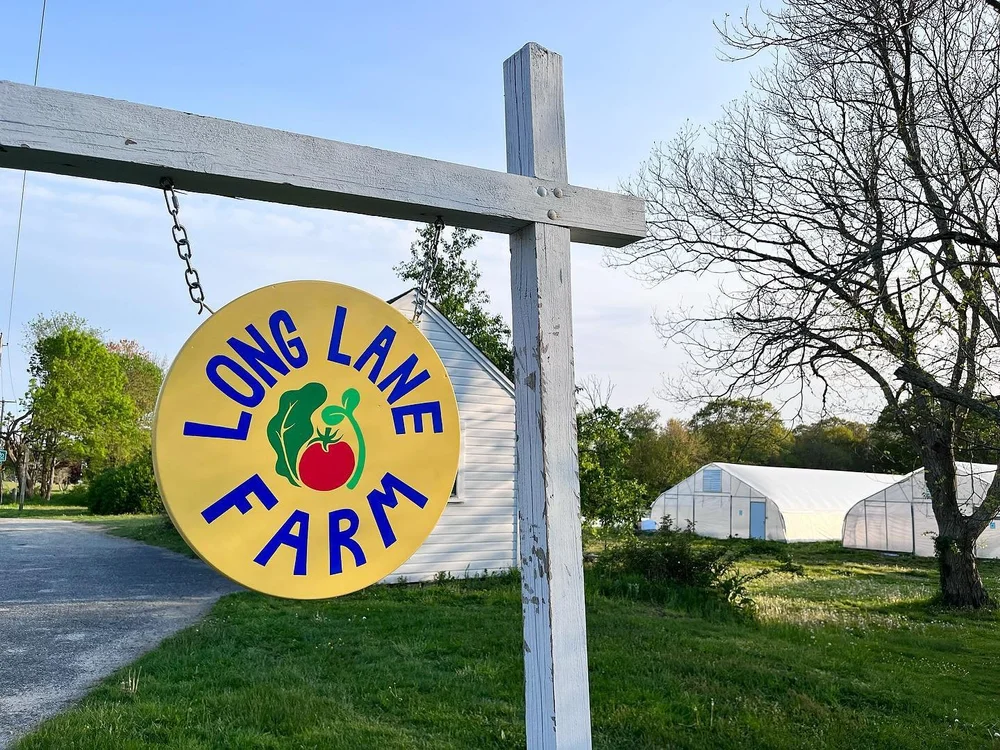 Long Lane Farm - Building a New Farm Business (And Selling Out ...