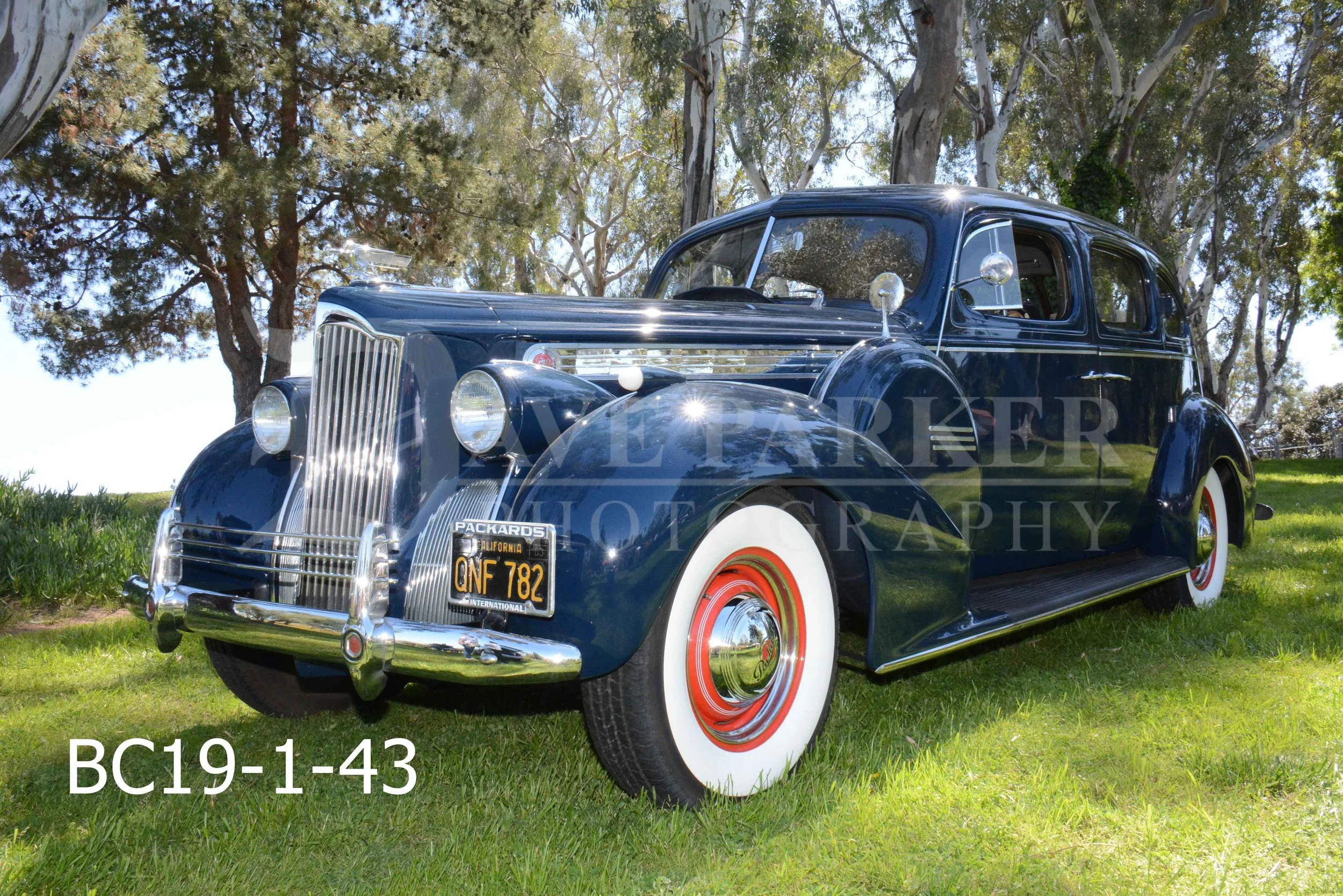 Benedict Castle 2019 - Extended Gallery — Dave Parker Photography