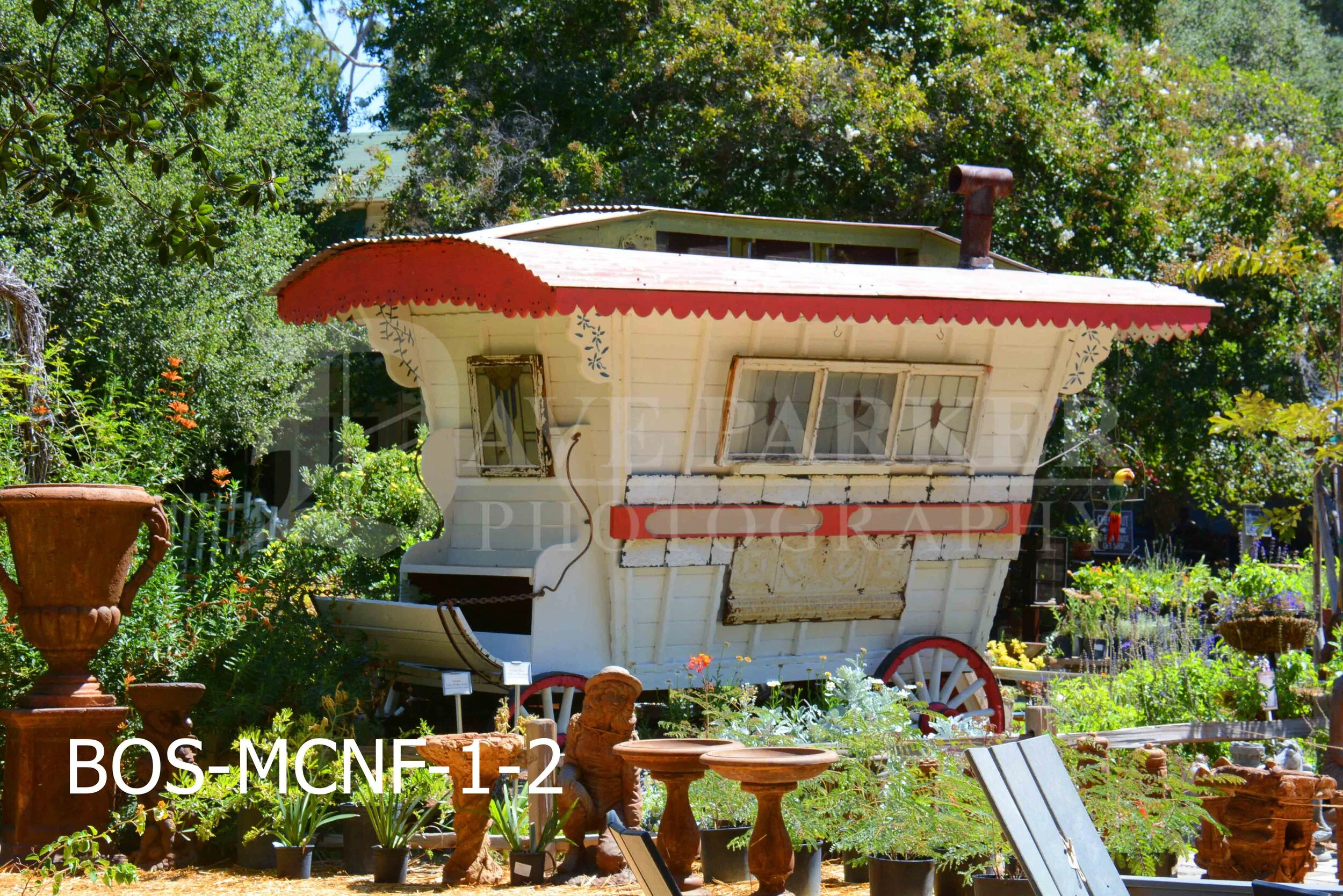 Best of Show - Myrtle Creek Nursery, Fallbrook — Dave Parker Photography