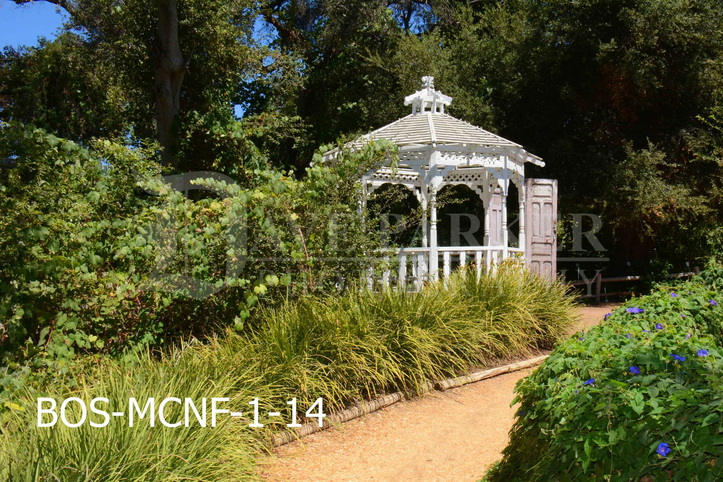 Best of Show - Myrtle Creek Nursery, Fallbrook — Dave Parker Photography