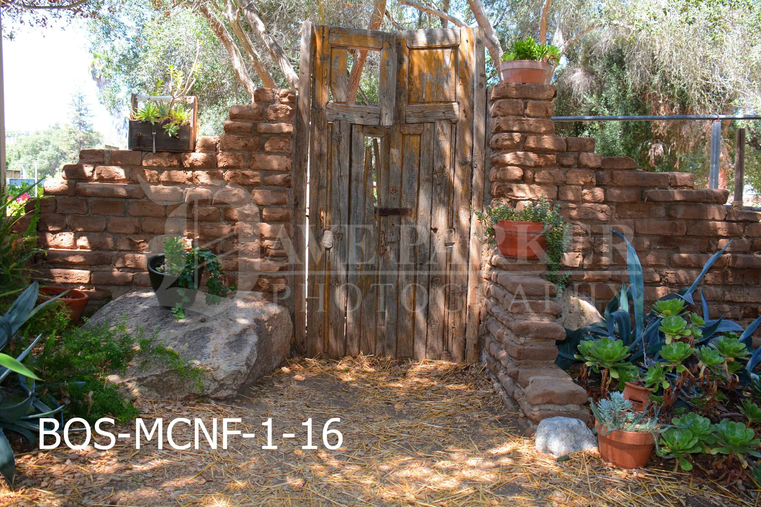 Best of Show - Myrtle Creek Nursery, Fallbrook — Dave Parker Photography