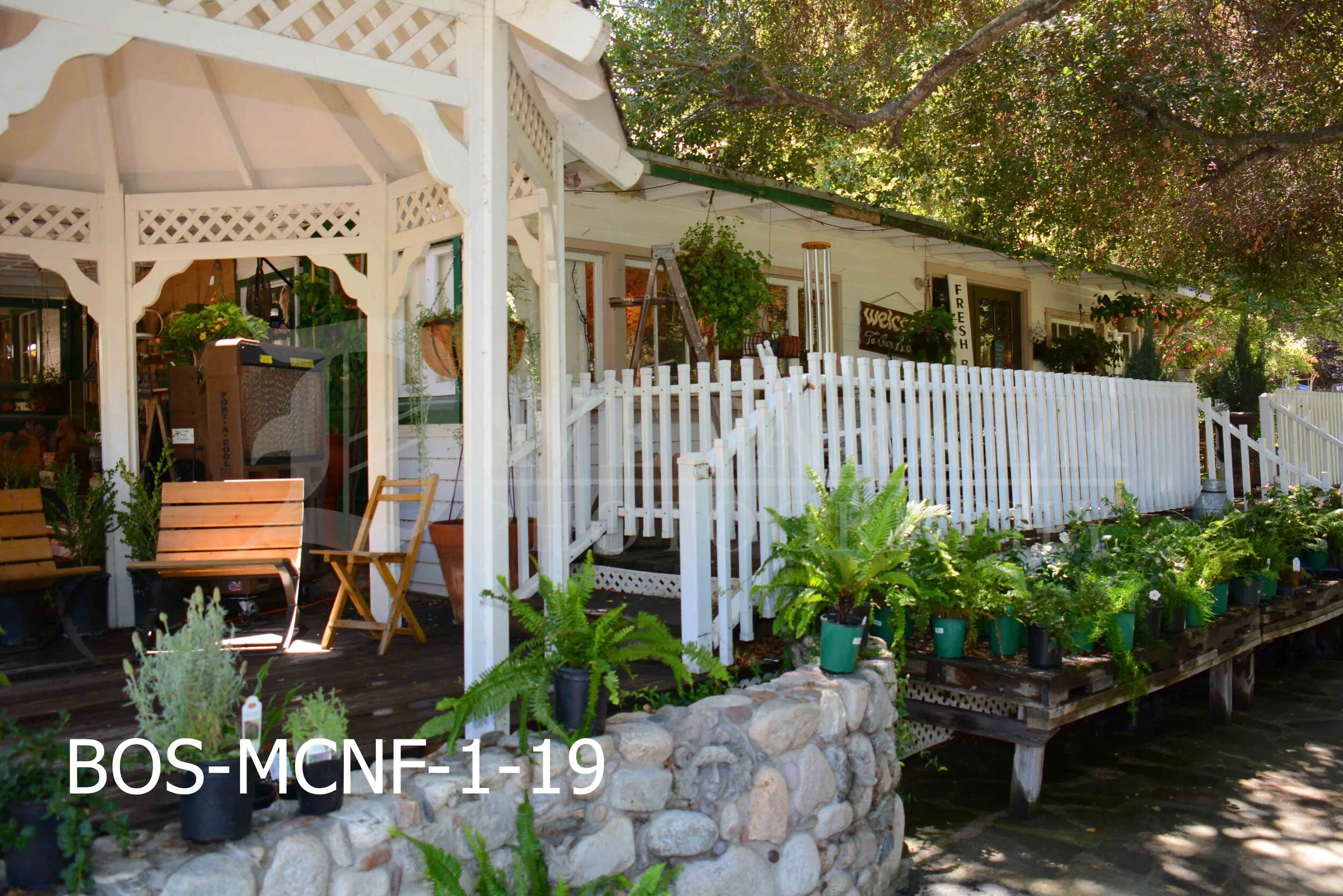 Best of Show - Myrtle Creek Nursery, Fallbrook — Dave Parker Photography