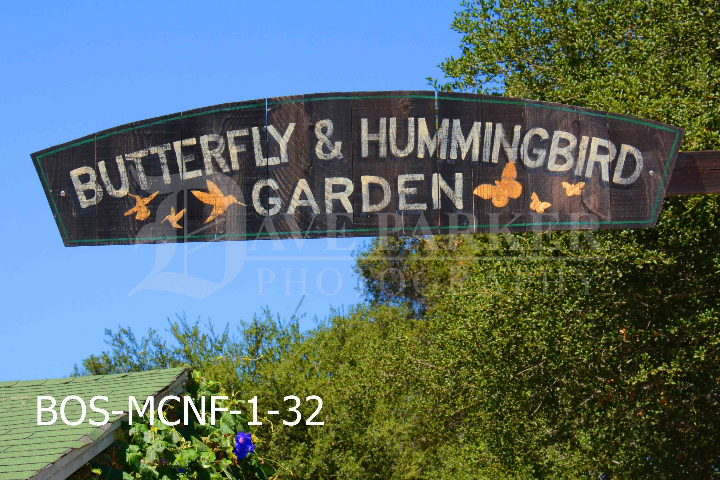 Best of Show - Myrtle Creek Nursery, Fallbrook — Dave Parker Photography