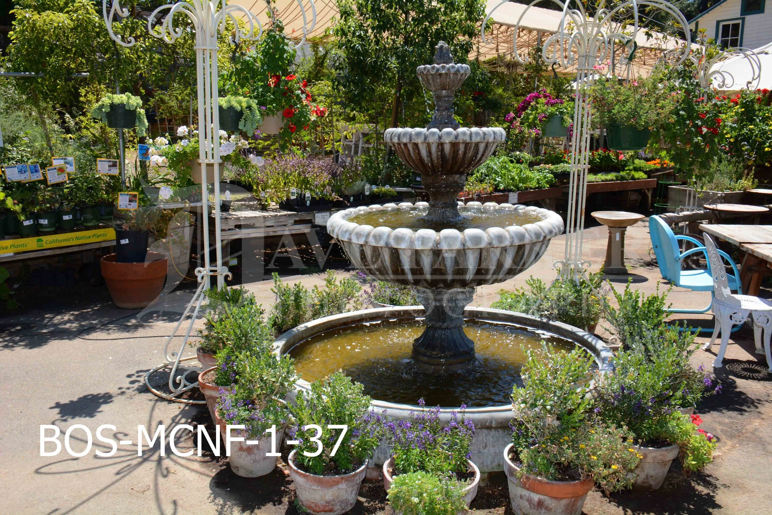 Best of Show - Myrtle Creek Nursery, Fallbrook — Dave Parker Photography