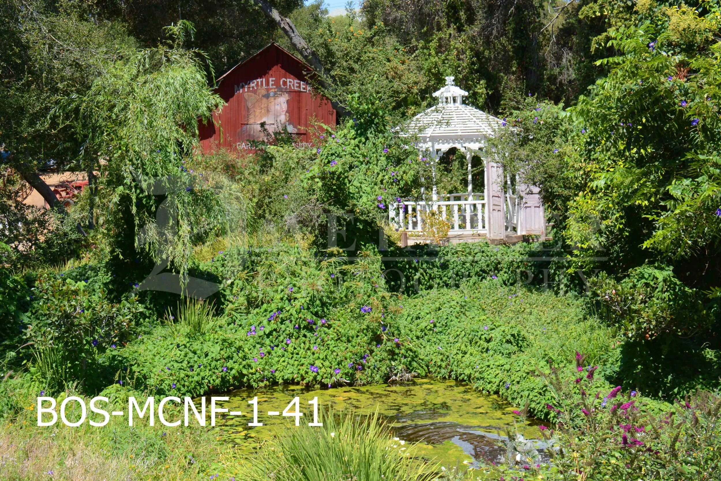 Best of Show - Myrtle Creek Nursery, Fallbrook — Dave Parker Photography