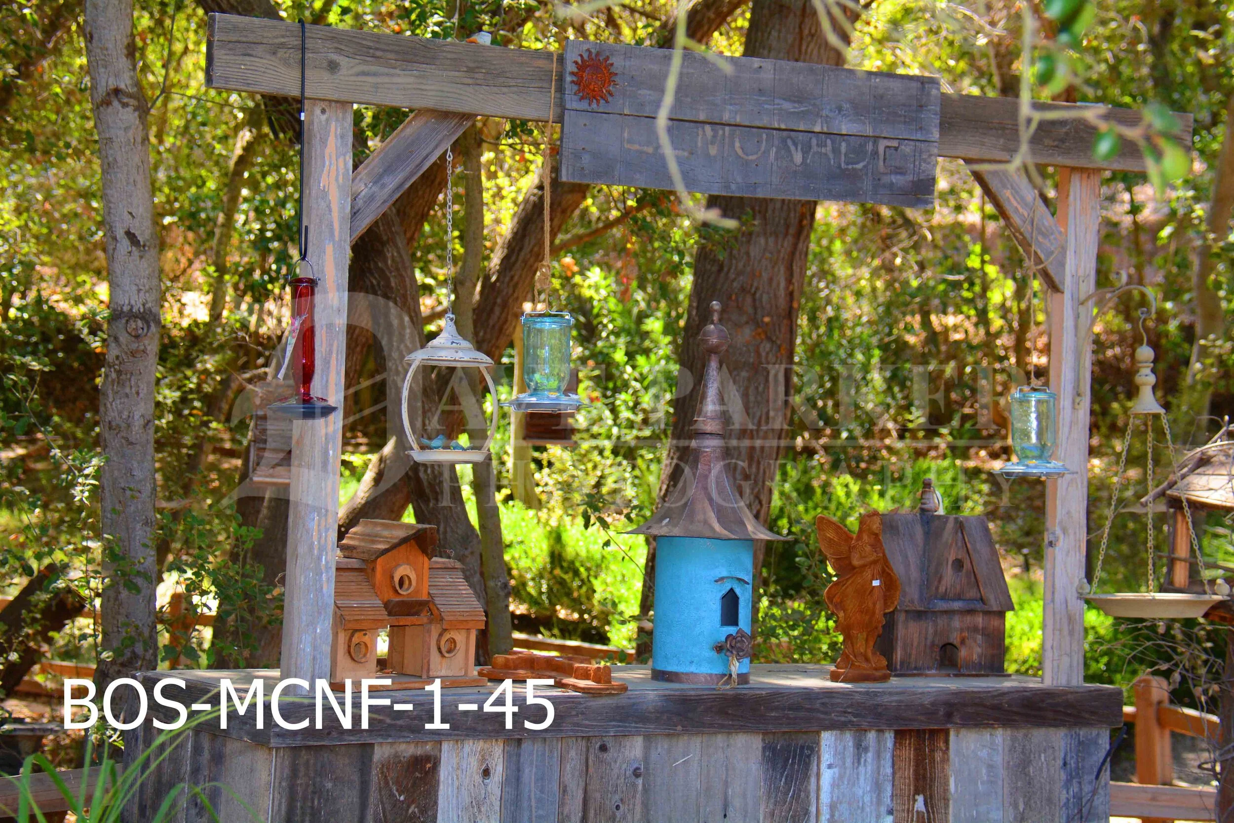 Best of Show - Myrtle Creek Nursery, Fallbrook — Dave Parker Photography