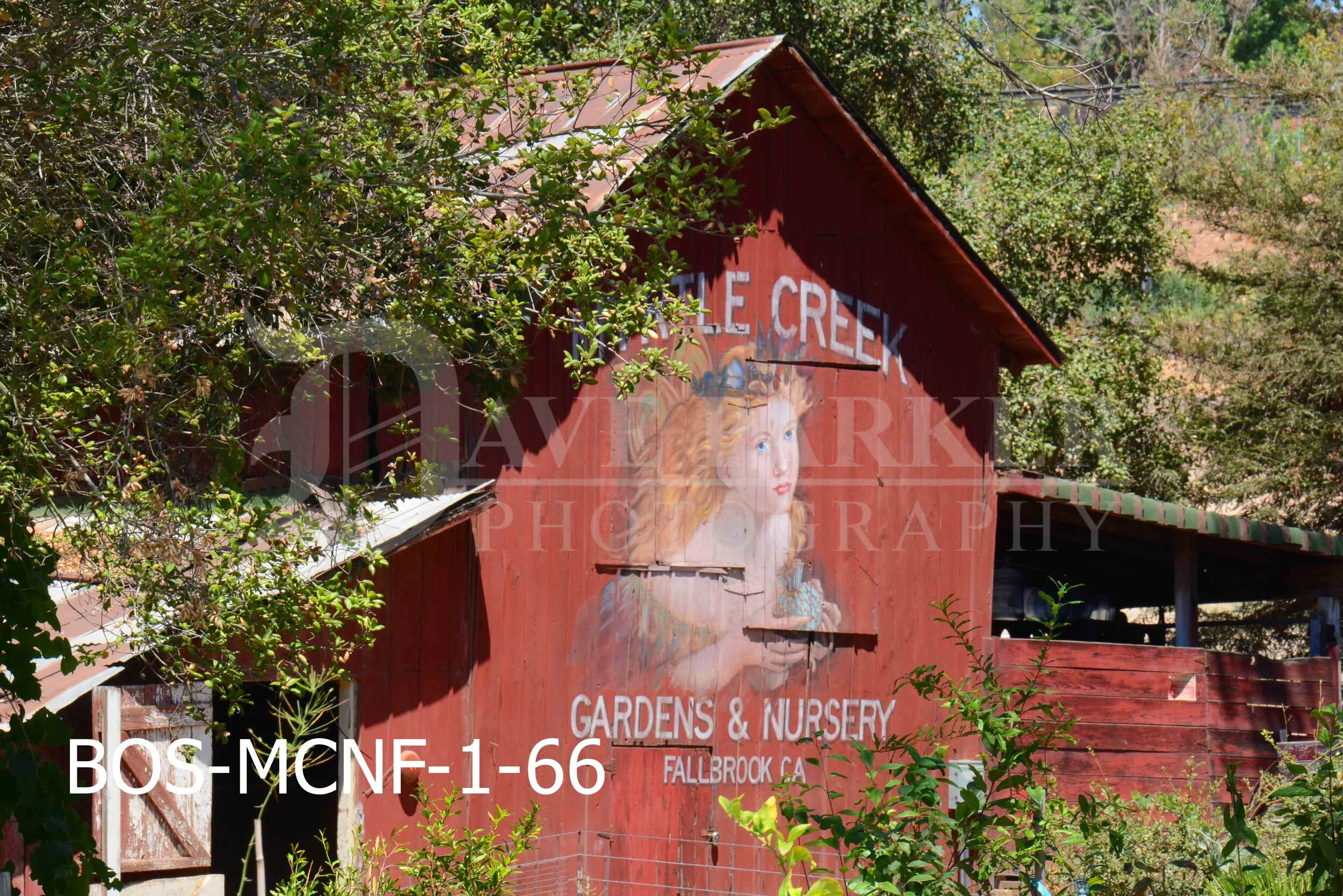 Best of Show - Myrtle Creek Nursery, Fallbrook — Dave Parker Photography